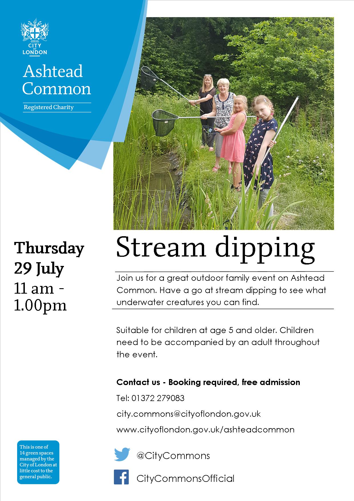 Stream dipping at Ashtead Common, Jul 29 | Inside Croydon