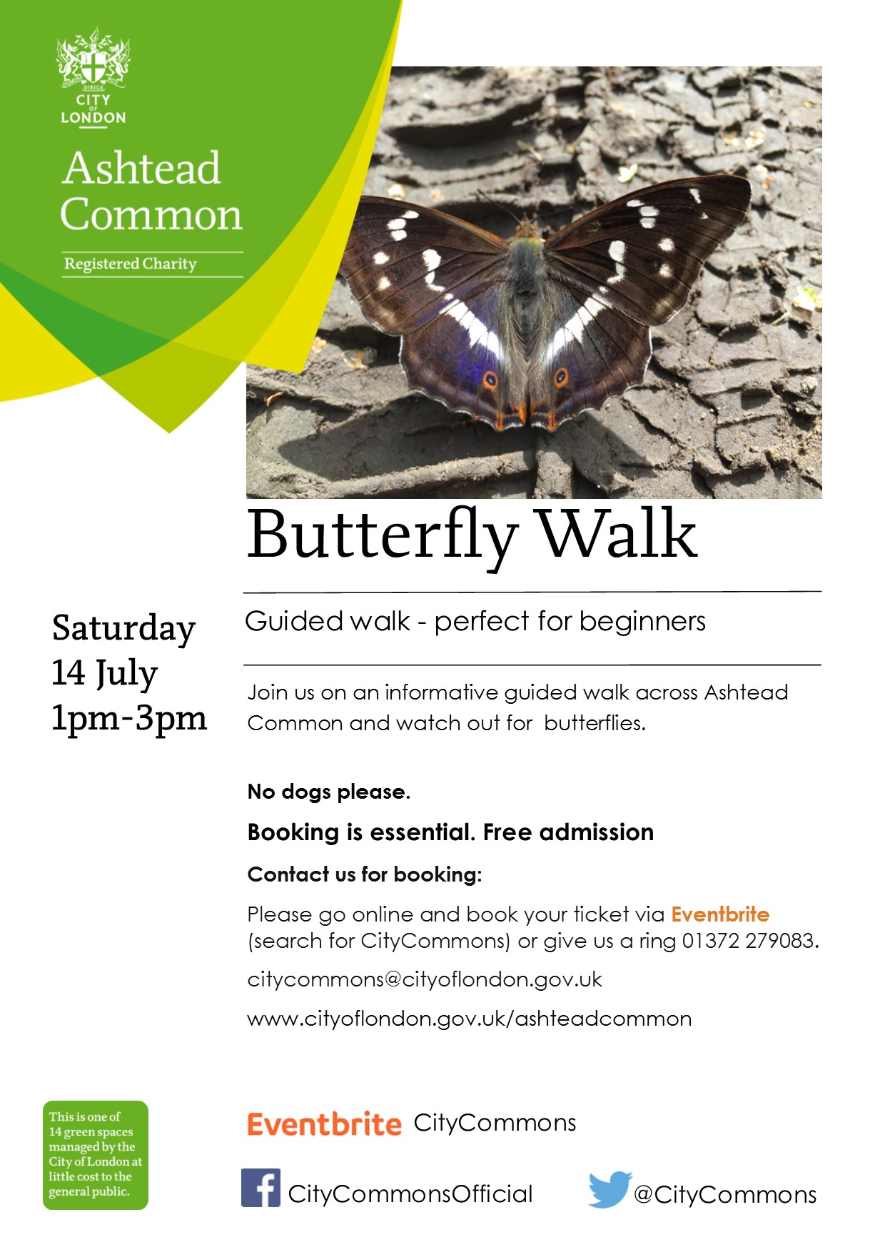 City Commons Butterfly Walk, Ashtead Common, Jul 14 | Inside Croydon