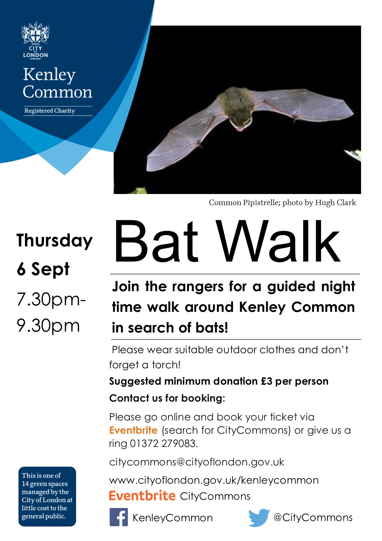 Ranger-guided Bat Walk, Kenley Common, Sep 6 | Inside Croydon