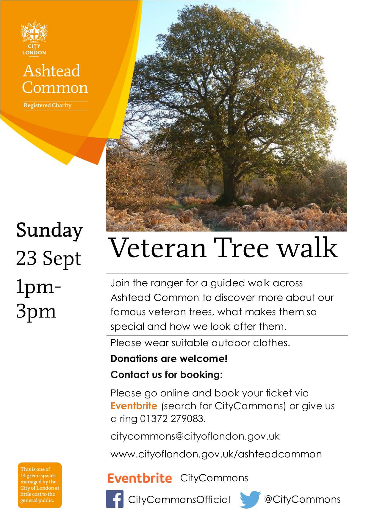 City Commons Veteran Tree Walk, Ashtead Common, Sep 23 | Inside Croydon