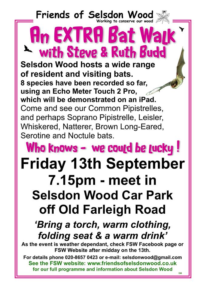 Friends of Selsdon Woods Bat Walk, Sep 13 | Inside Croydon