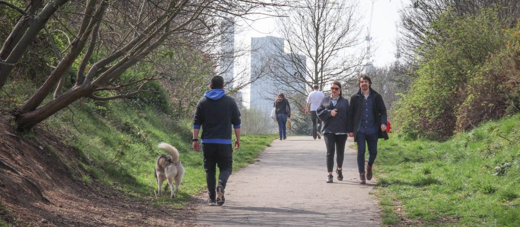Chari-tree: re-green your neighbourhood with planting scheme | Inside ...