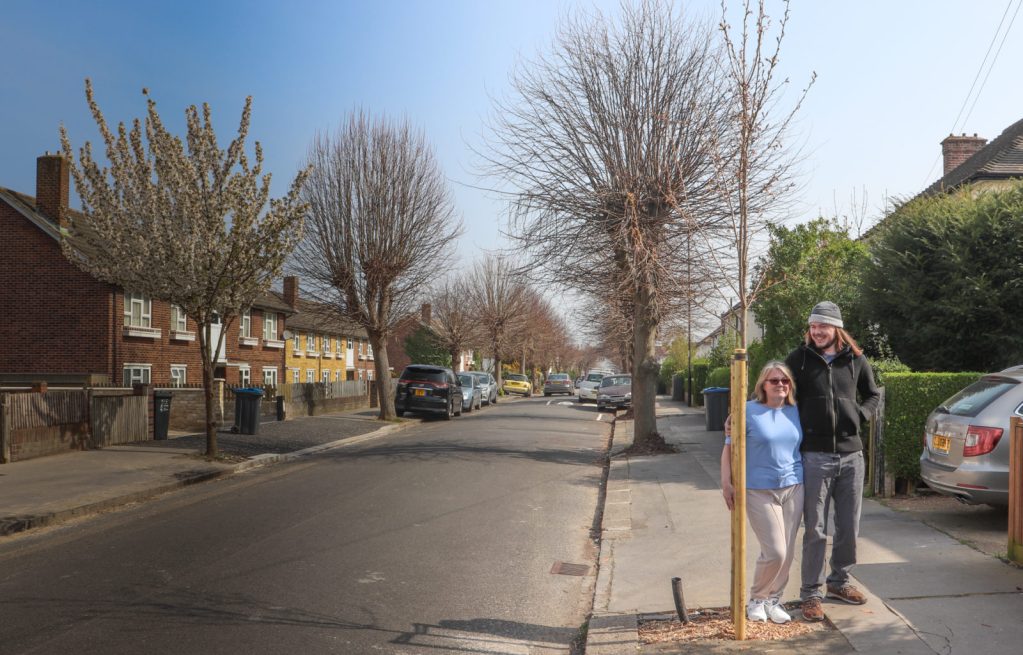 Tall tales of thriving trees coming to the streets of Croydon | Inside ...