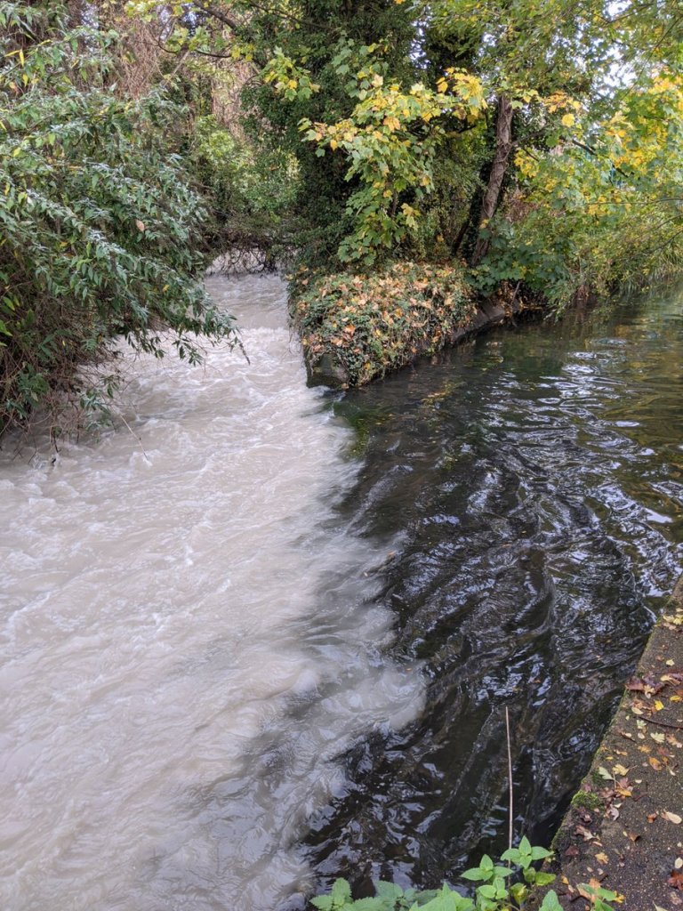 Rivers and environment are at peril from nation’s lawmakers | Inside ...