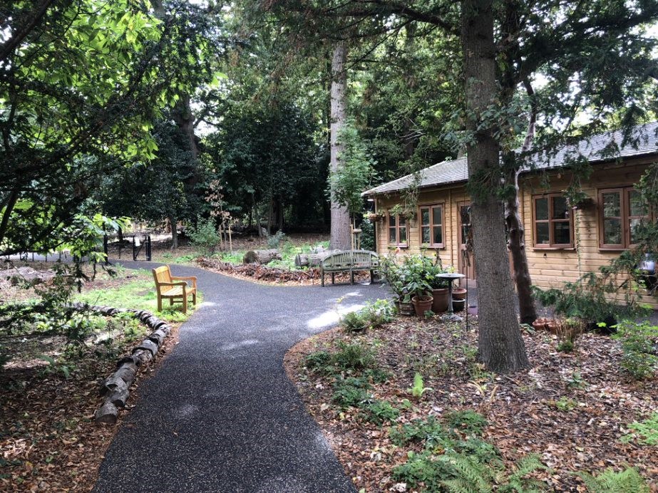 Take a walk on the wild side in Shirley with Wilderness Sundays ...