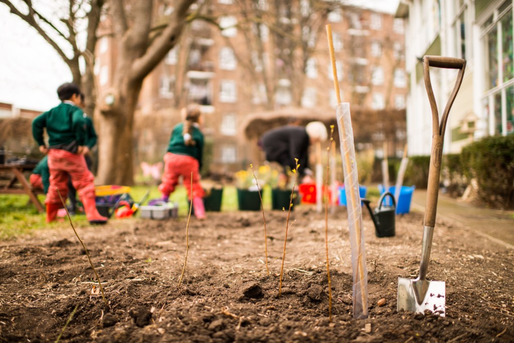 Woodland Trust is offering free trees to fight climate crisis | Inside ...