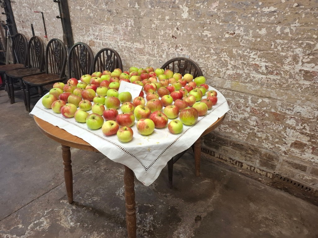 Ecology volunteers at Heathfield House share the apple harvest | Inside ...